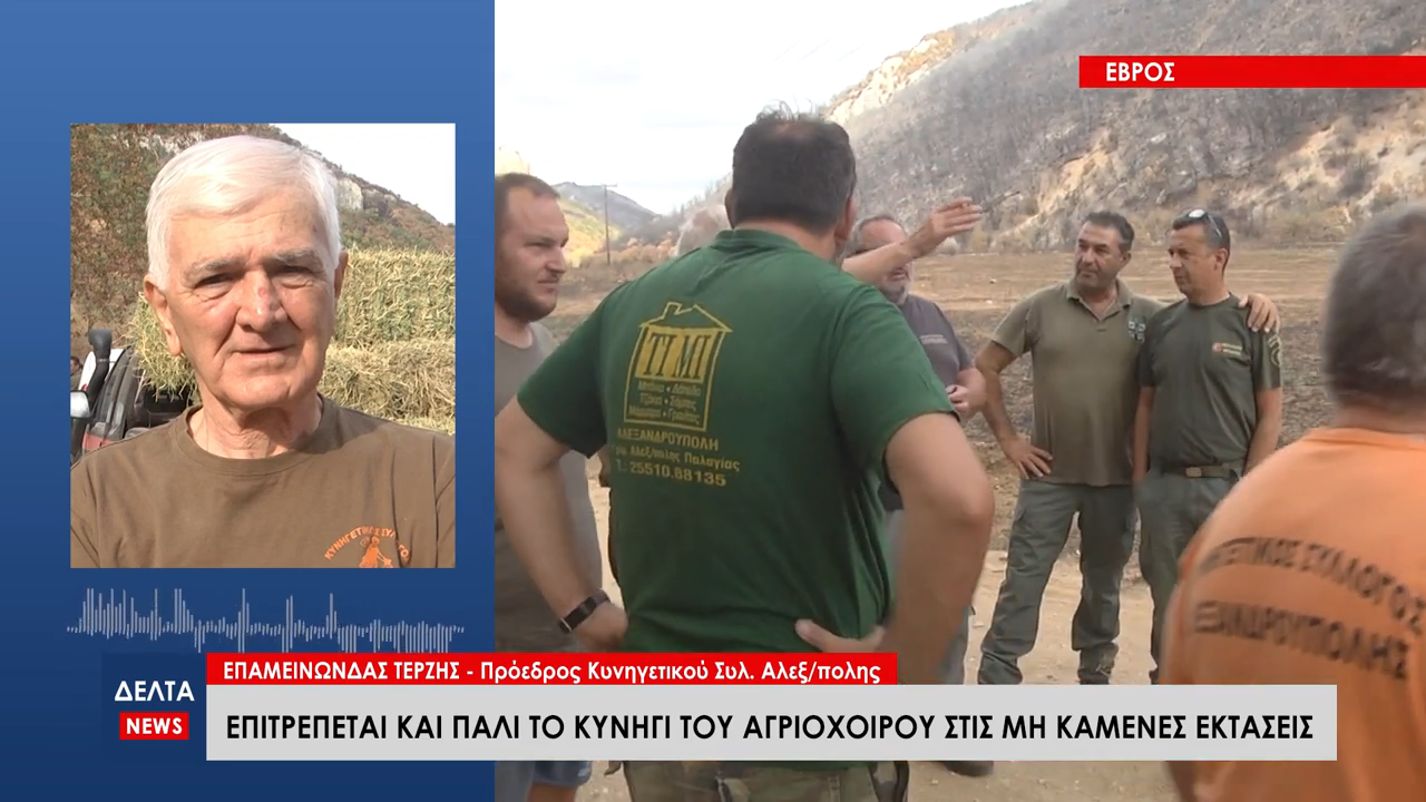 Επιτρέπεται και πάλι το κυνήγι του αγριόχοιρου στις μη καμένες εκτάσεις ...