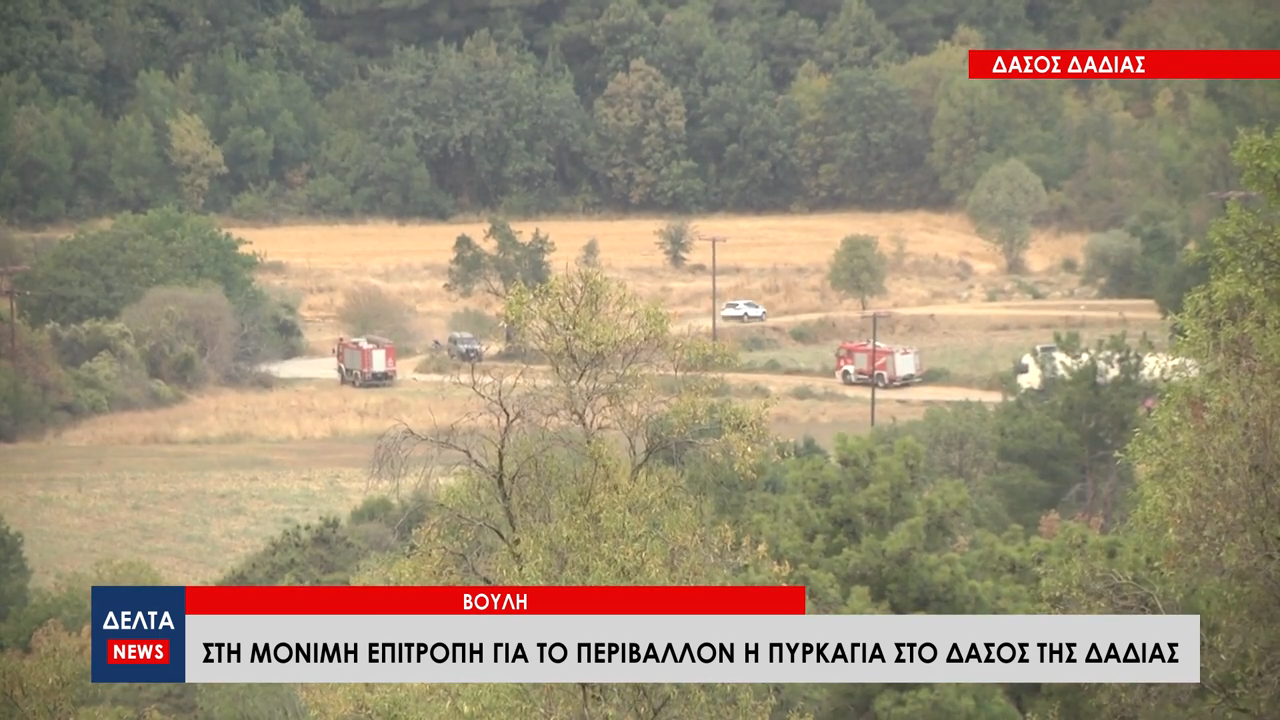 Στη Μόνιμη Επιτροπή της Βουλής για το Περιβάλλον συζητήθηκε η πυρκαγιά ...