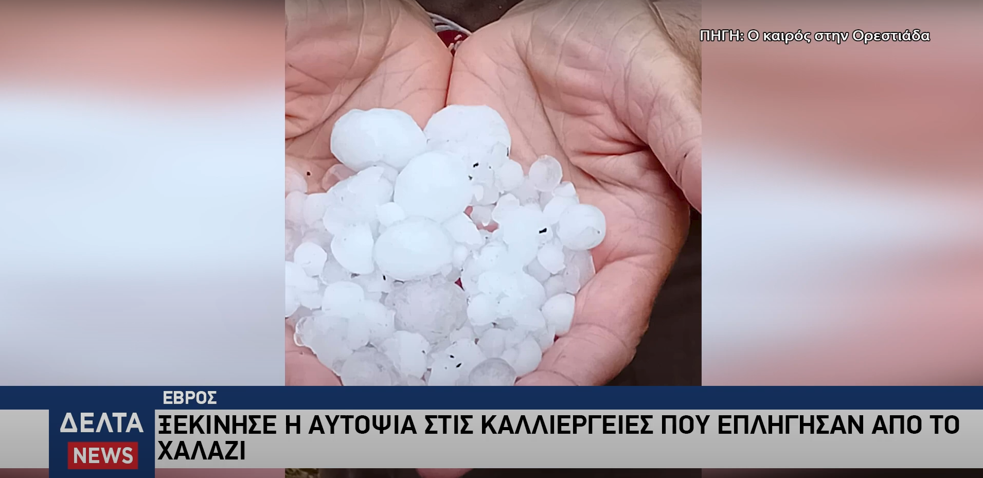 Εβρος: Ξεκίνησε η αυτοψία στις καλλιέργειες που επλήγησαν από το χαλάζι ...